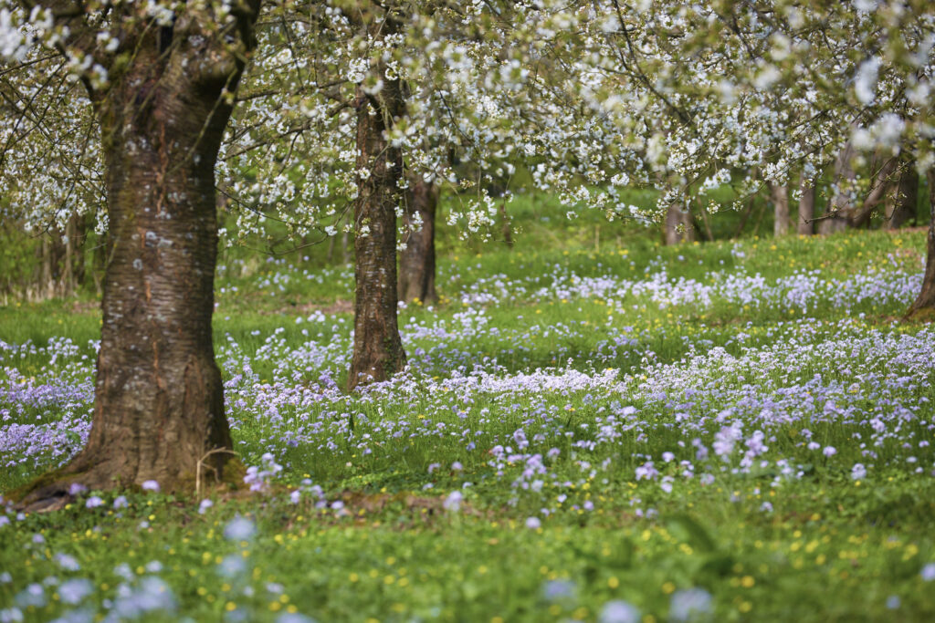 Beate Tumat – Coaching, Paarberatung, Seelsorge